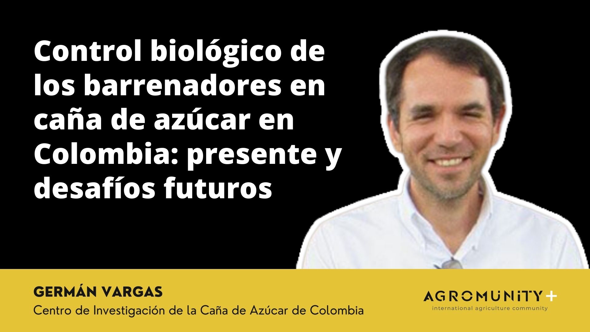 Control biológico de los barrenadores en caña de azúcar en Colombia ...